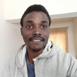 Joshua Adegbite - Webflow